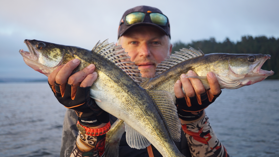 Starkis , pagauta 2017-06-21 - laimikio informacija | Kimba.lt