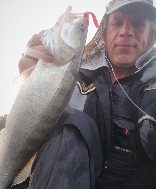 Starkis, 1.40kg., 54cm. , pagauta 2019-08-06 - laimikio informacija ...