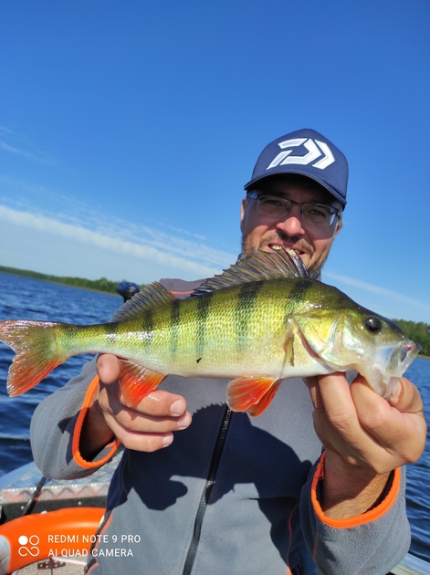 Ešerys, 0.40kg. , pagauta 2023-08-27 - laimikio informacija | Kimba.lt