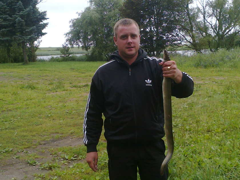 Ungurys, 1.20kg. , pagauta 2015-08-07 - laimikio informacija | Kimba.lt