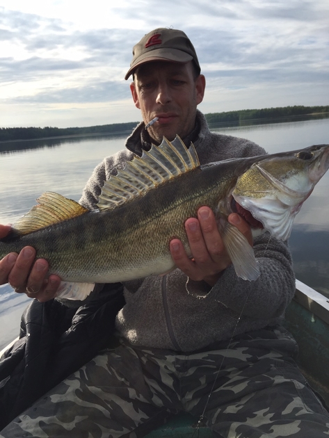 Starkis, 4.10kg., 74cm. , pagauta 2016-05-22 - laimikio informacija ...