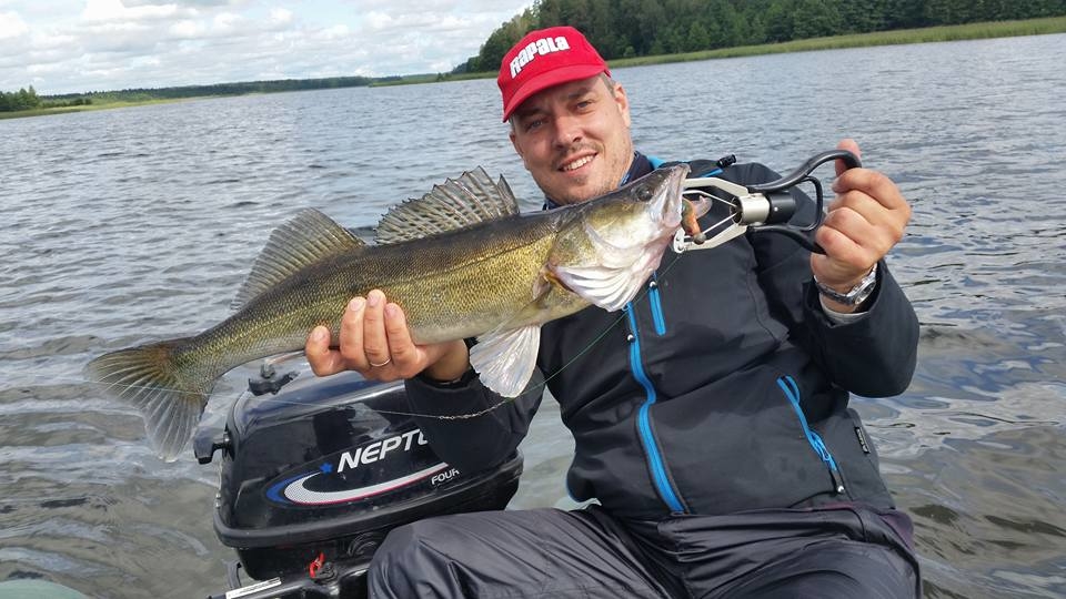 Starkis, 2.30kg. , pagauta 2016-08-18 - laimikio informacija | Kimba.lt