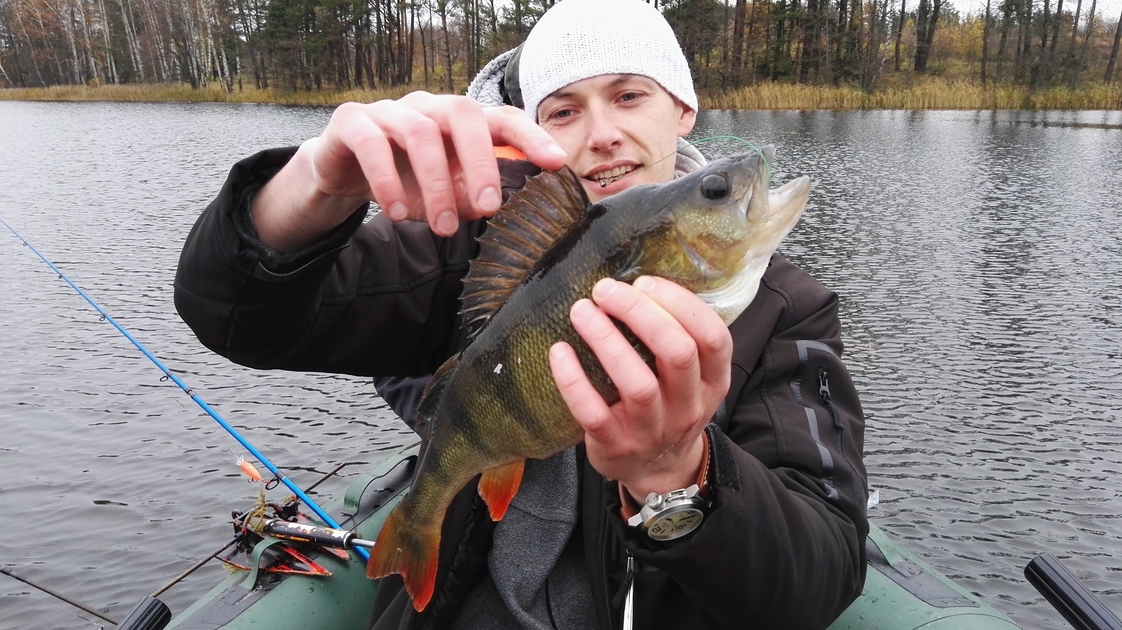 Ešerys, 0.93kg., 38cm. , pagauta 2016-11-01 - laimikio informacija ...